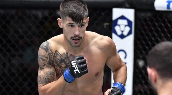 UFC Vegas 49 Picks, Predictions, Odds