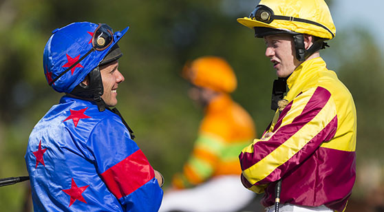 Free Horse Racing Picks & Predictions By Vegas Insider - Today's Best ...